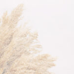 Plastic Surgery Practice Denver, Cosmetic Surgery Office Colorado