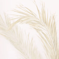 Plastic Surgery Practice Denver, Cosmetic Surgery Office Colorado